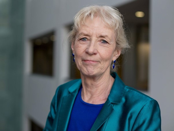 Rosemary Hollis Memorial Lecture: A cuckoo in the nest? Why cities ...