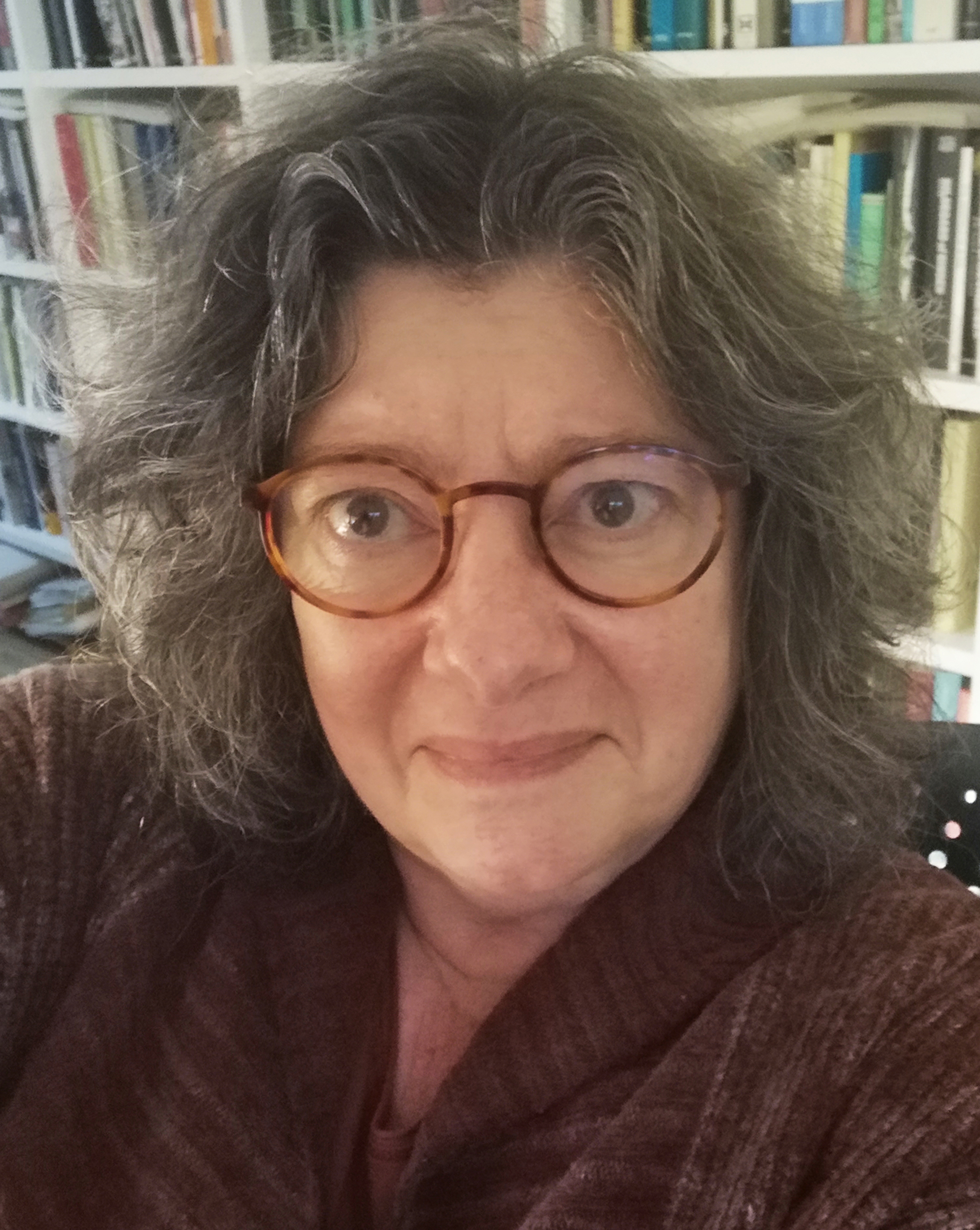 Rosemary Hollis Memorial Lecture: A cuckoo in the nest? Why cities ...
