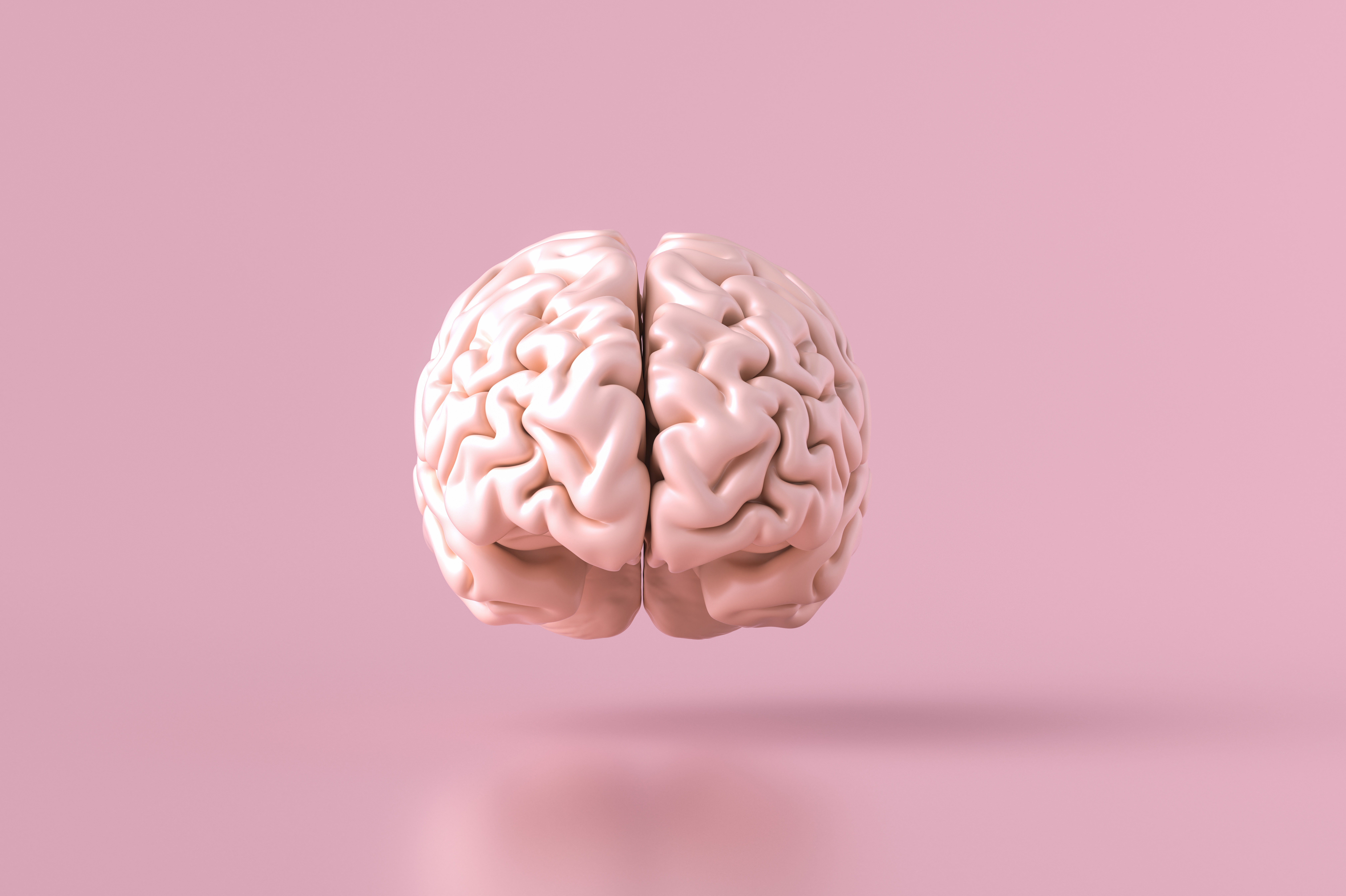 Can electric fields in the brain tune its activity and sculpt its ...