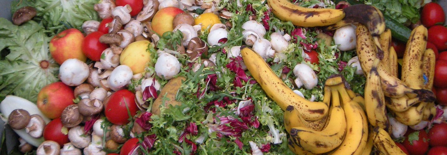 How to reduce household food waste • City St George's, University of London