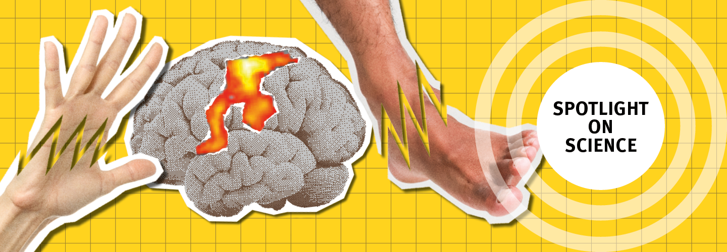 Pain in the brain: the local and central aspects of pain • City St ...